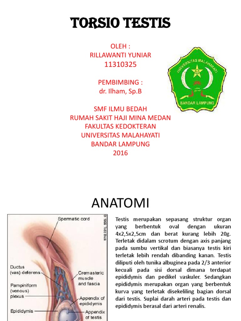Torsio Testis: Diagnosis dan Penanganan | PDF | Sains & Matematika