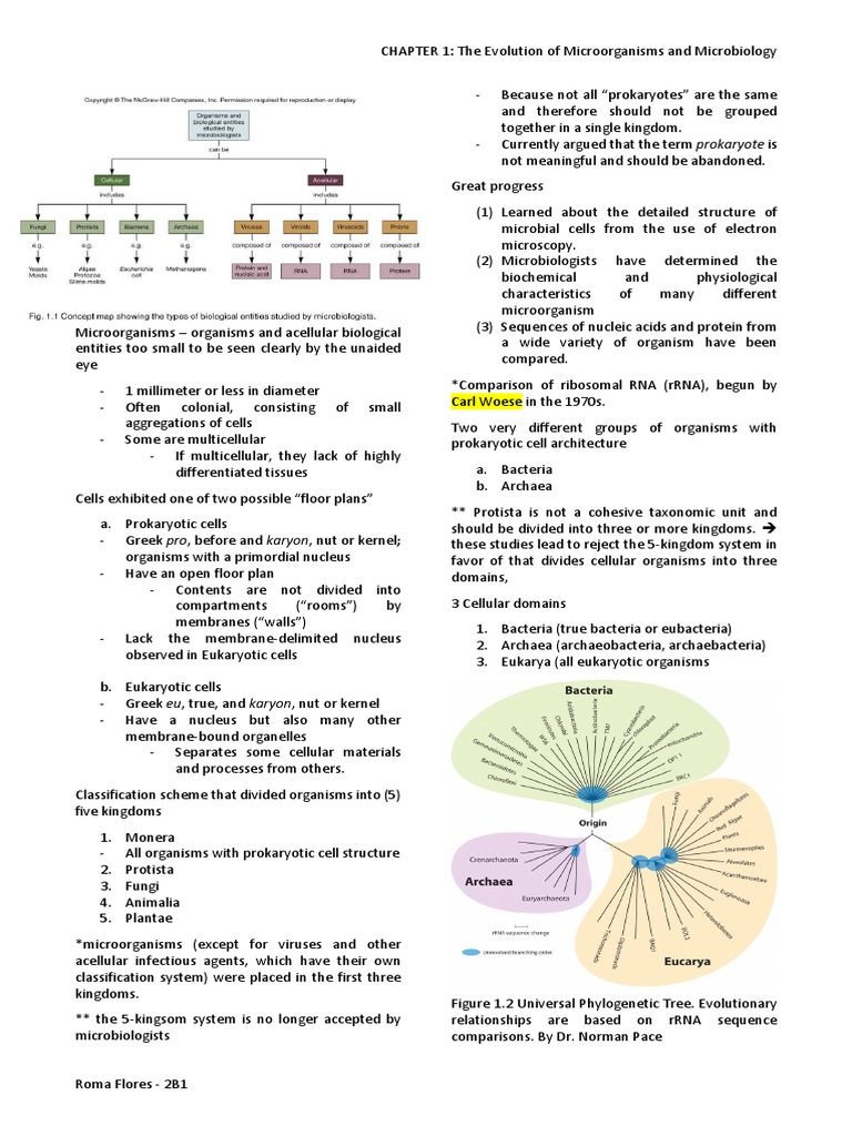 Chapter 1 Microbiology 101 Pdf Microorganism Cell Biology
