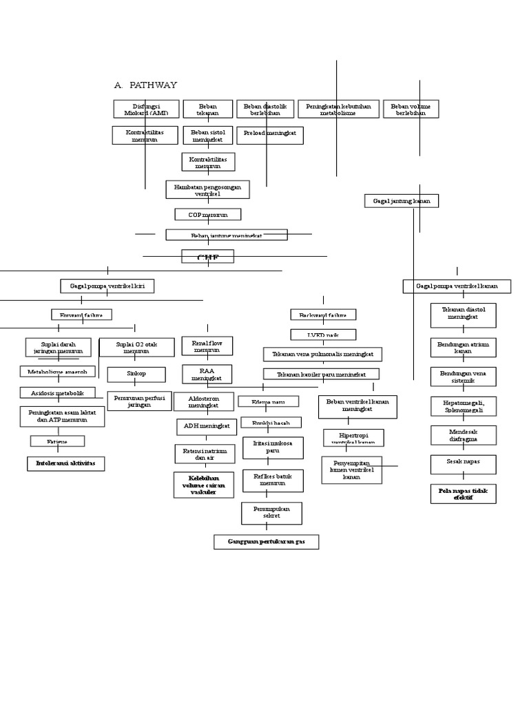 Pathway Gagal Jantung Kongestif | PDF