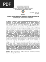 Características del Pez Coporo en Venezuela | PDF | Pescado | Zoología
