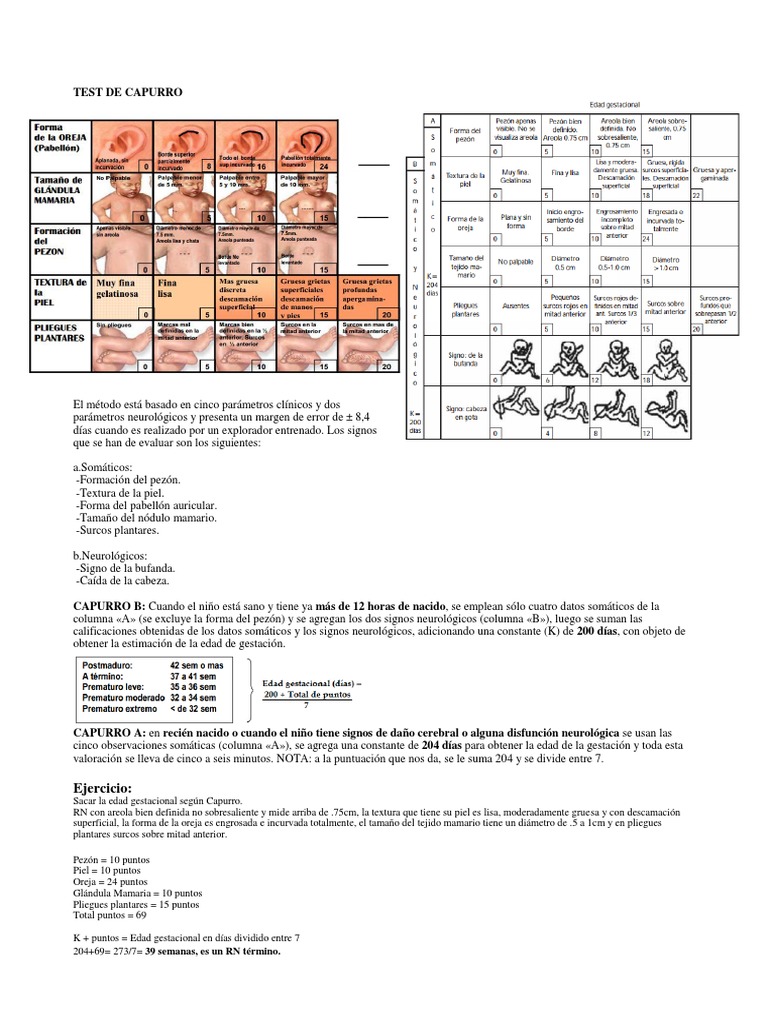 Test de Capurro | PDF