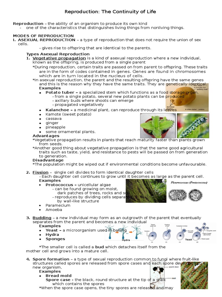 Grade 7 Lesson Reproduction Pdf Sexual Reproduction Reproduction