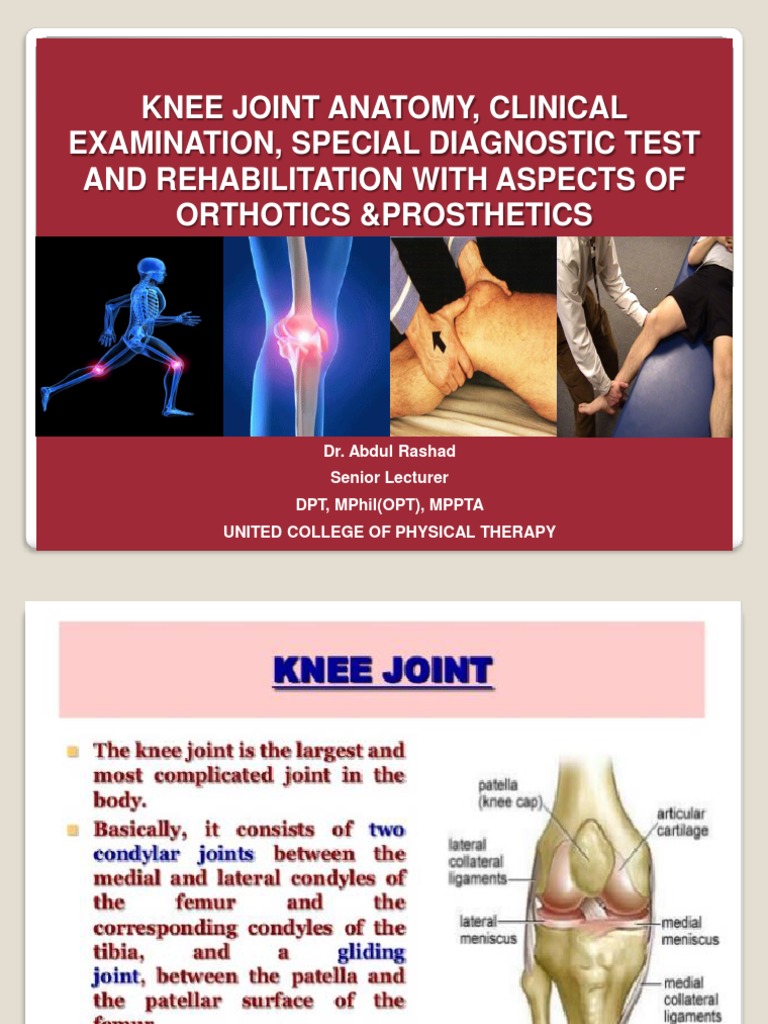 Workshop PPT (Final) Knee Joint | PDF | Knee | Dance Science
