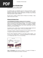 Biología y control de zompopos | PDF | Insectos | Suelo
