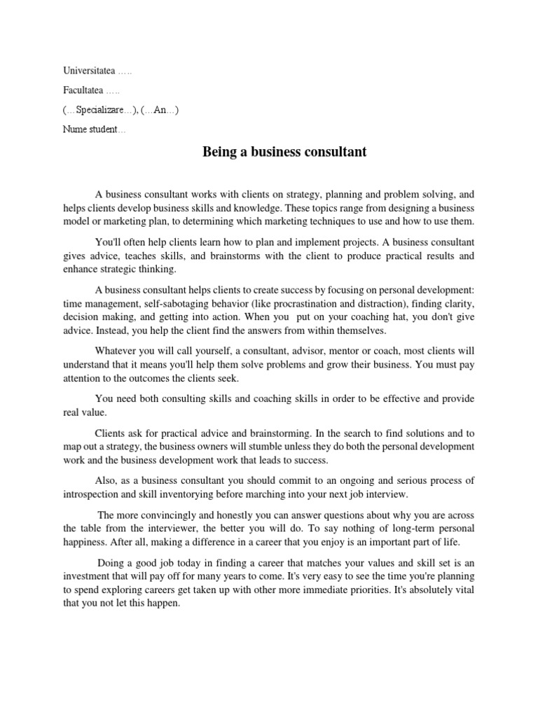Business Consultant Essay | PDF