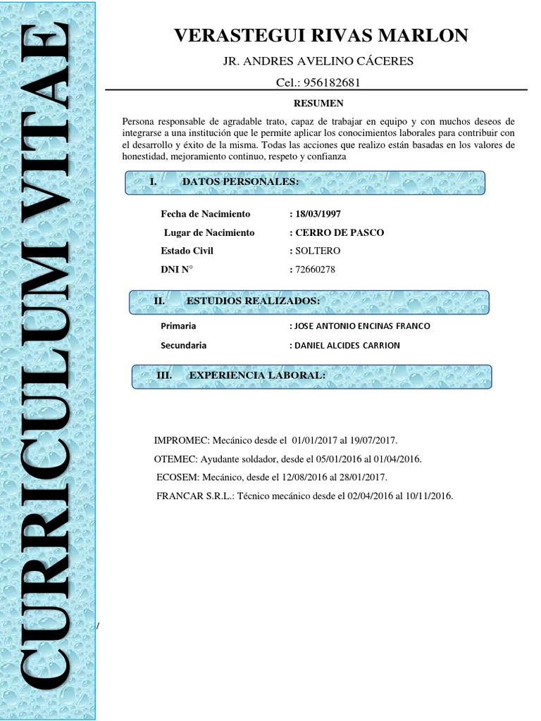 Curriculum Vitae MARLON | PDF | Enseñando y aprendiendo