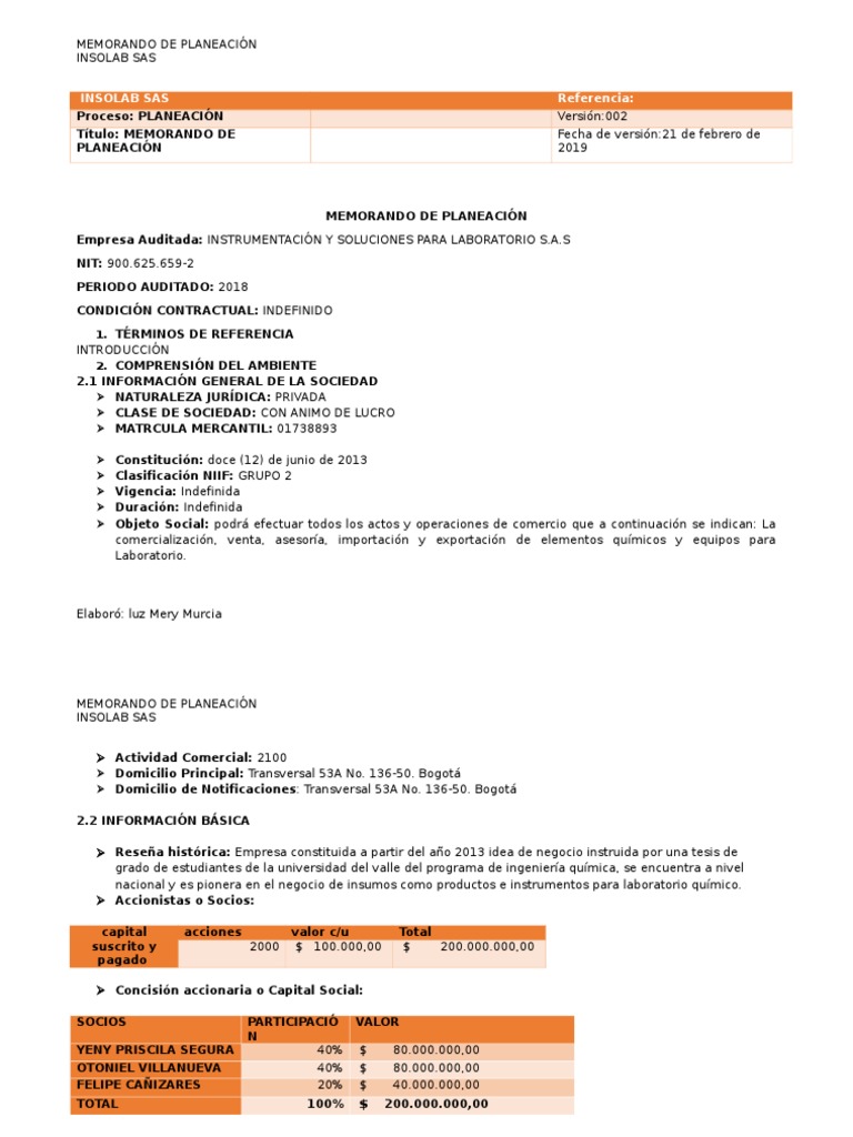 Planeación de Revisoria Fiscal Insolab Sas | PDF | Inventario ...