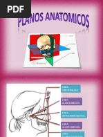 ANEXO TEMA 3 RODILLA-Fosa Intercondilea | PDF | Rodilla | Pelvis