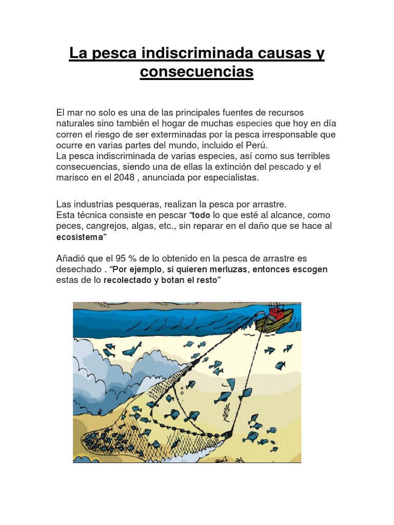 La Pesca | PDF