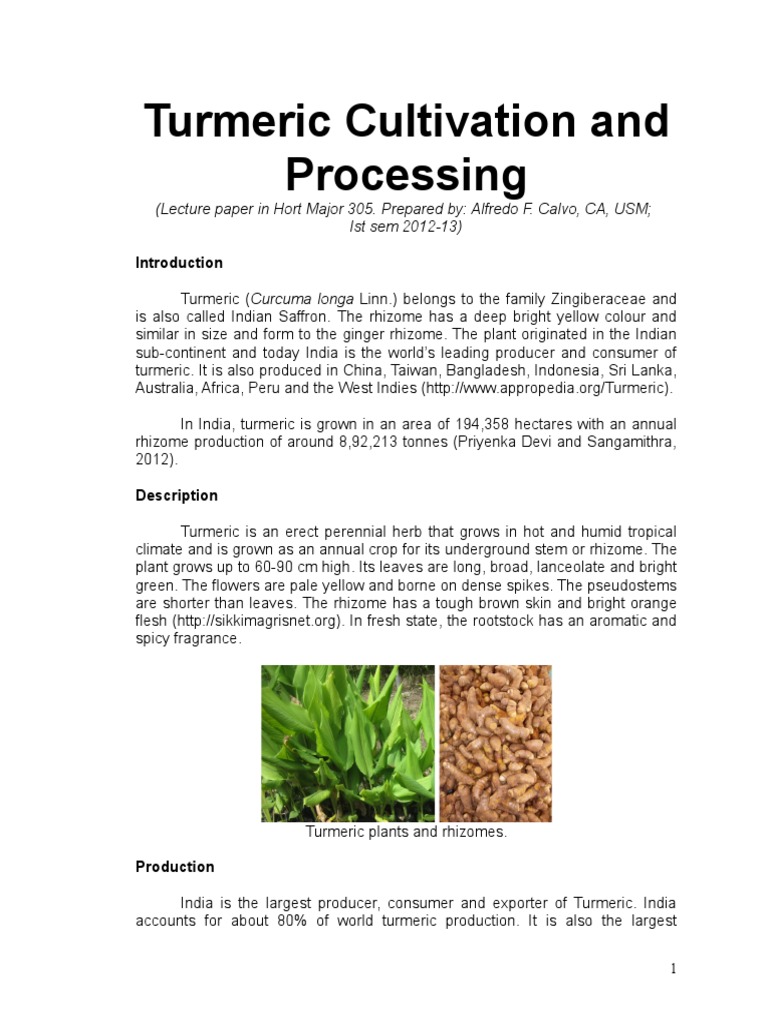 Turmeric Cultivation and Production Guide | PDF | Turmeric | Sowing