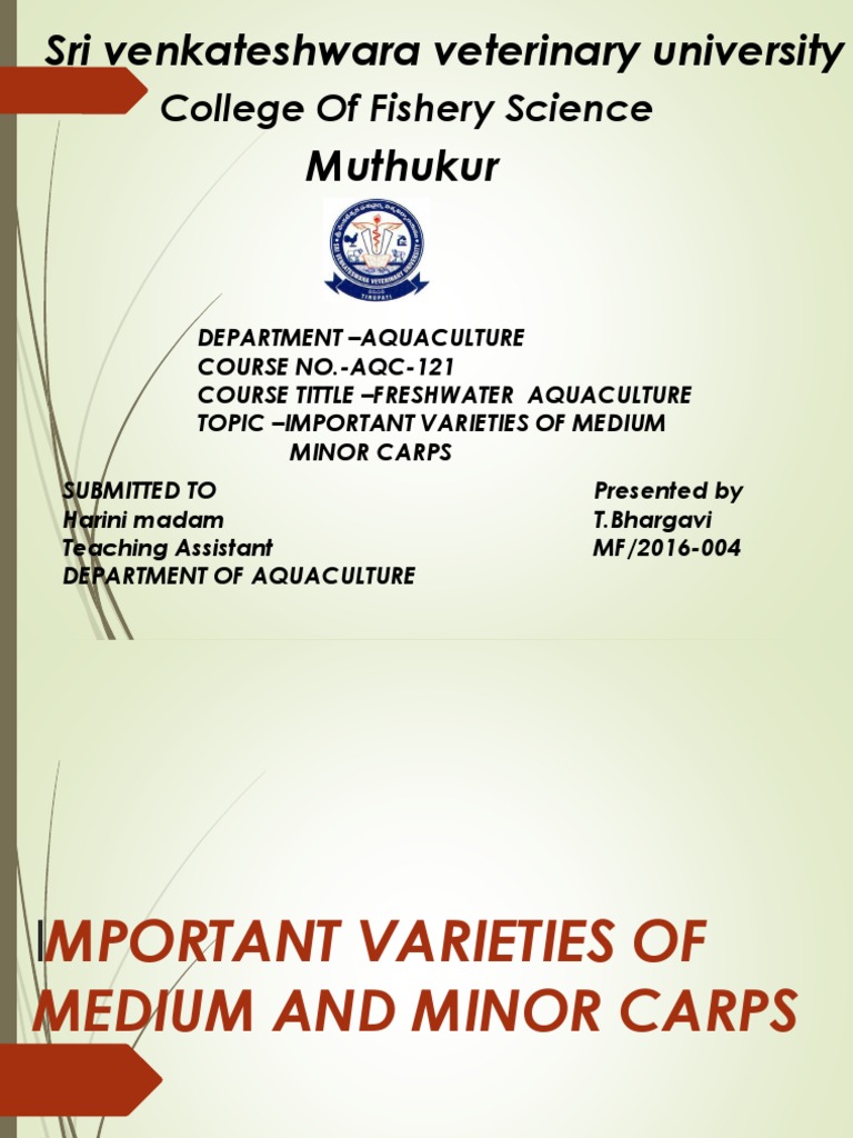 Bhargavi PPT Freshwater Aquaculture | PDF | Aquaculture | Fish