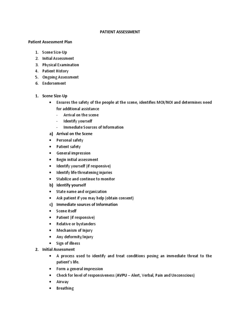 Patient Assessment Patient Assessment Plan | PDF | Breathing | Physical ...