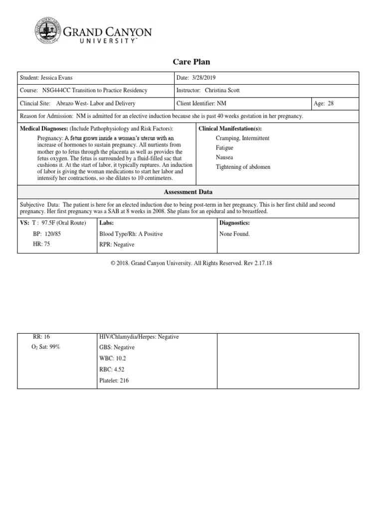 Care Plan: Medical Diagnoses: (Include Pathophysiology and Risk Factors ...