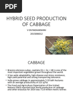 RHS Colour Chart | PDF