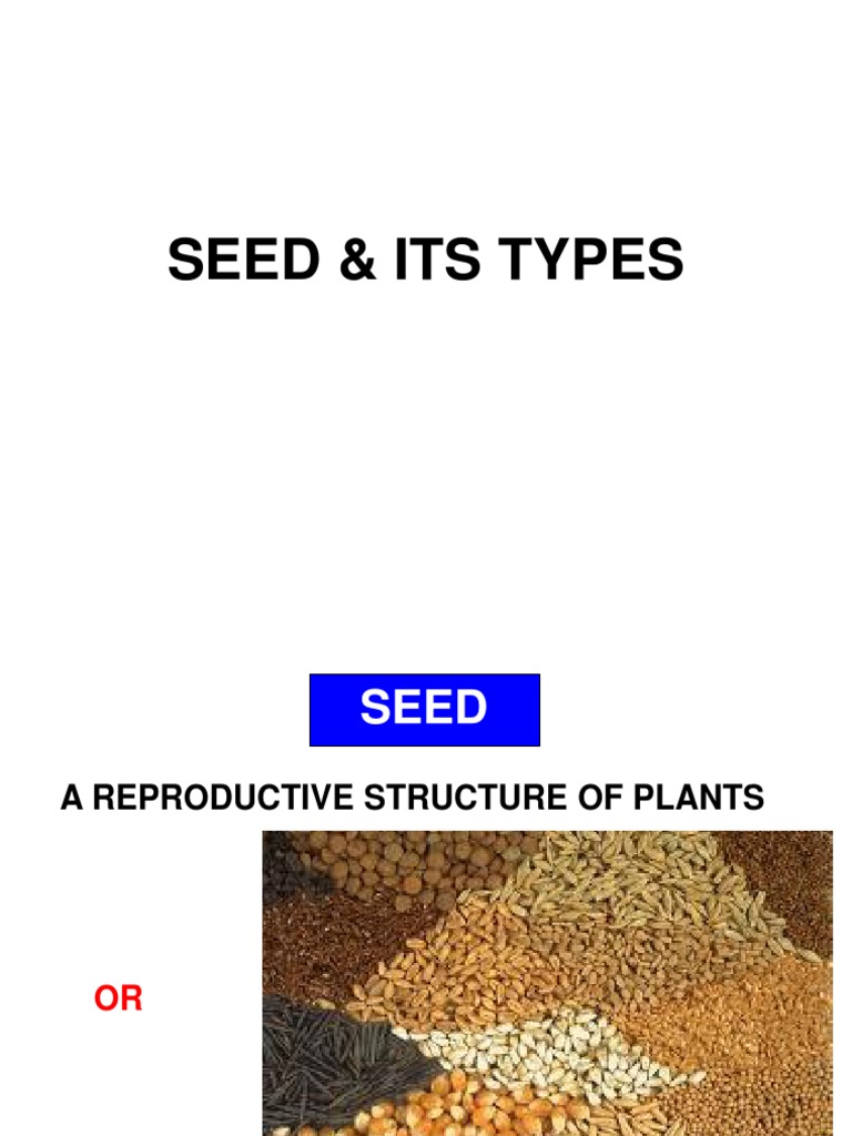 10 Seed Types | PDF | Technology & Engineering