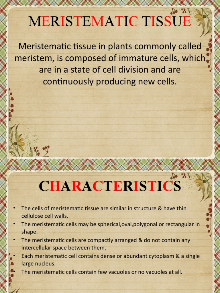 Meristematic Tissue
