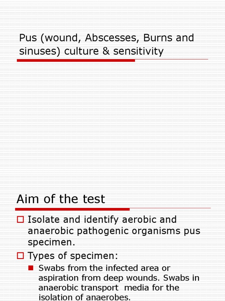 Pus and Wound | PDF | Health Sciences | Microbiology
