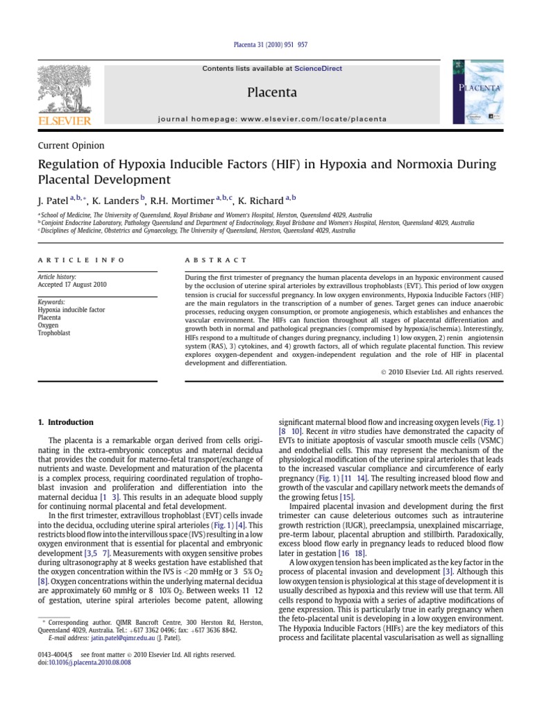 Placenta: J. Patel, K. Landers, R.H. Mortimer, K. Richard | PDF ...