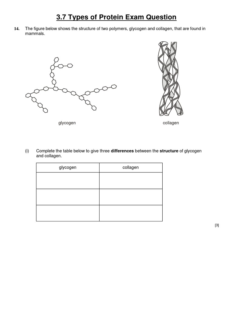 3.7 Types of Protein Exam Question | PDF | Collagen | Cellulose