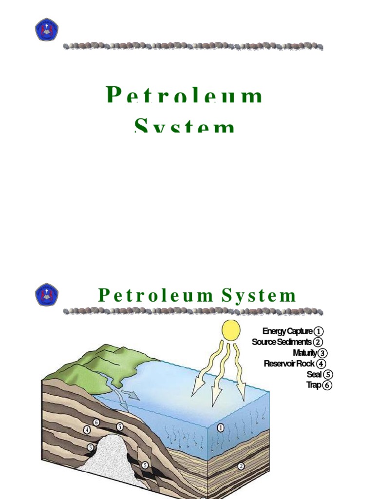 07 Petroleum System | PDF