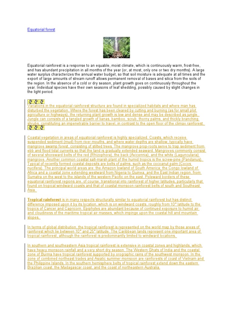 Equatorial Forest | PDF | Rainforest | Tropics