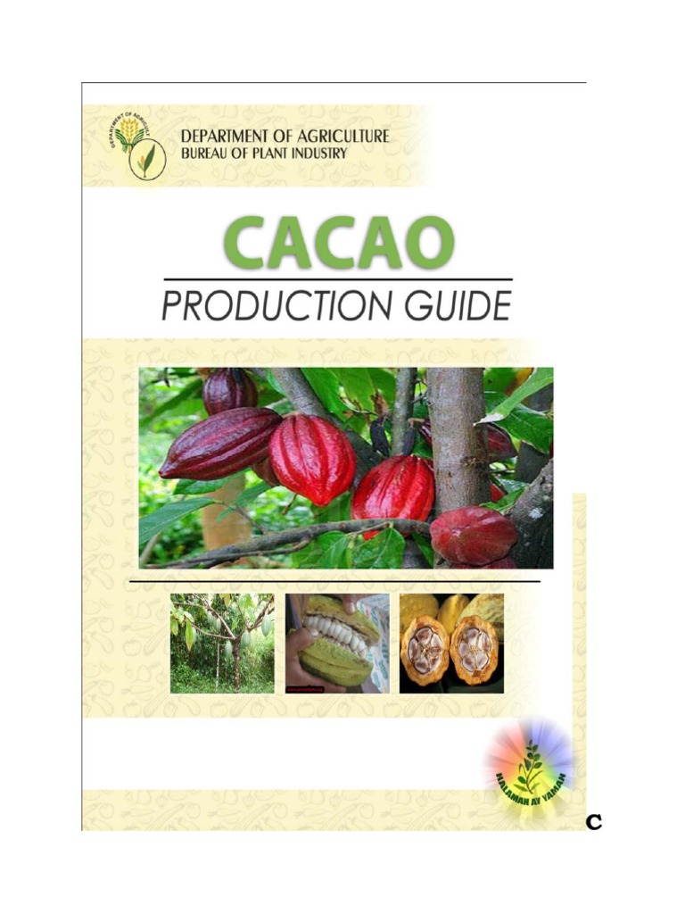 Cacao Production Guide | PDF | Grafting | Pruning
