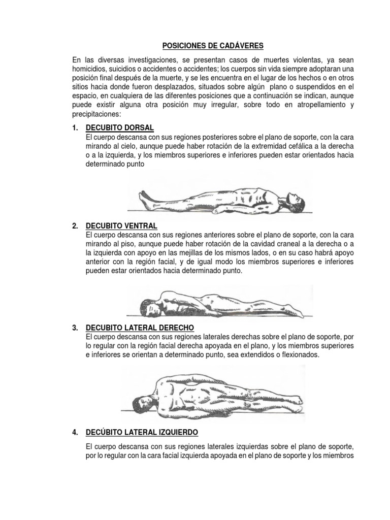 Posiciones de Cadáveres | PDF | Términos anatómicos de ubicación | Naturaleza