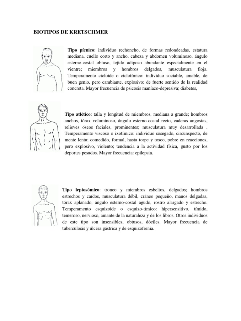 Biotipos De Kretschmer Pícnico Y Leptosómico Pdf Músculo Tejido