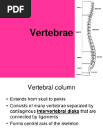Astri - Neck Cailliet Exercise | PDF | Vertebral Column | Vertebra
