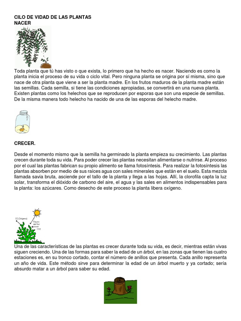 Cilo de Vidad de Las Plantas Animales y Humanos | PDF | Adultos | Plantas