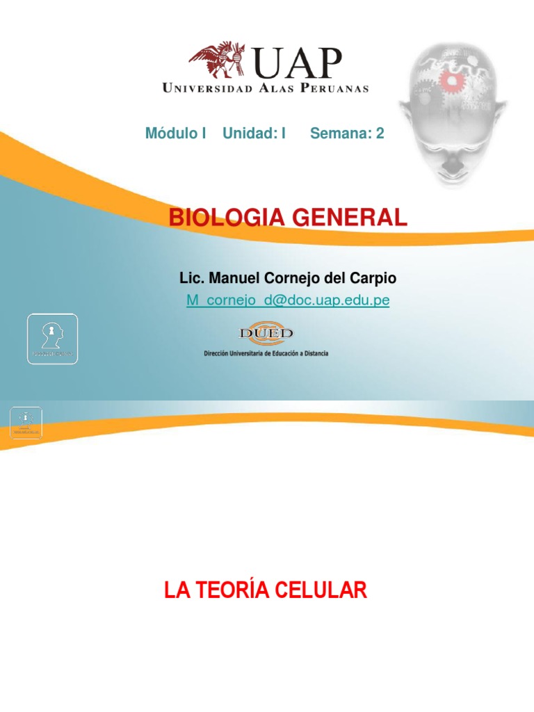 Semana 2 - La Teoria Celular. | PDF | Biología Celular) | Membrana celular