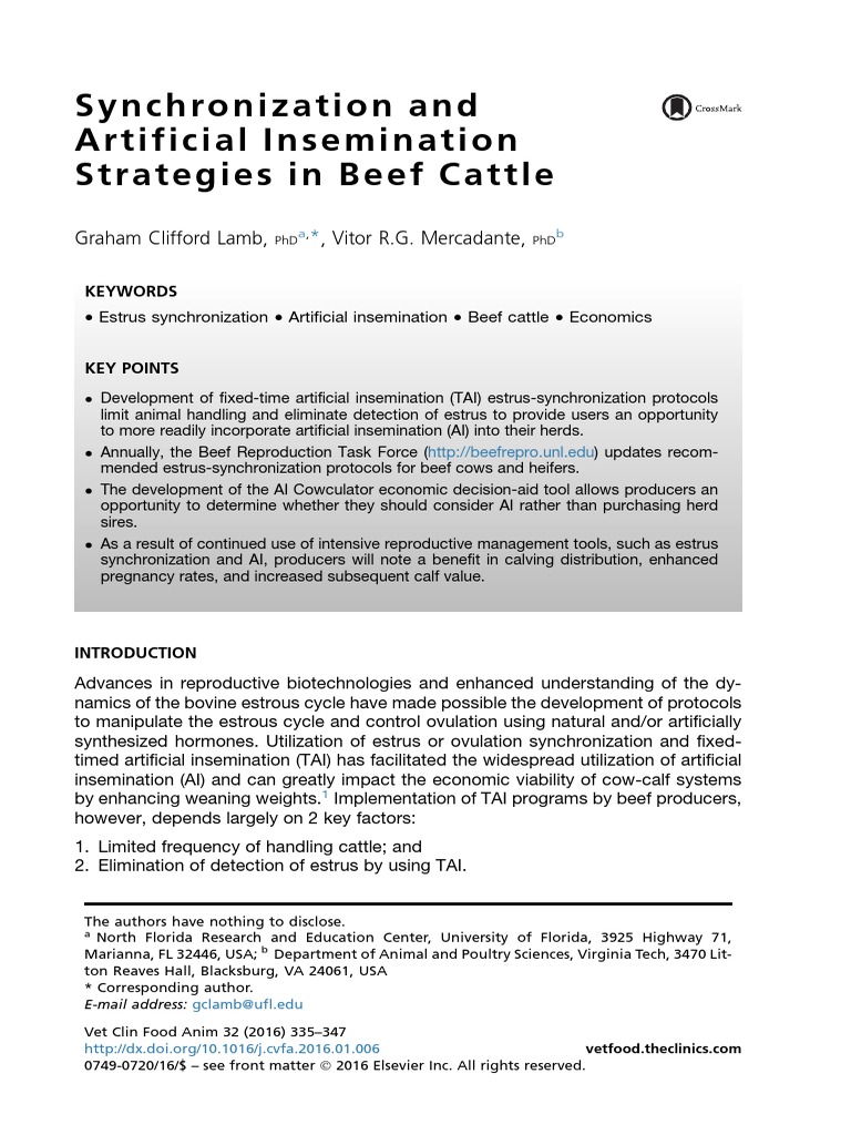 Beef Cattle Estrus Synchronization & AI | PDF | Calf | Cattle