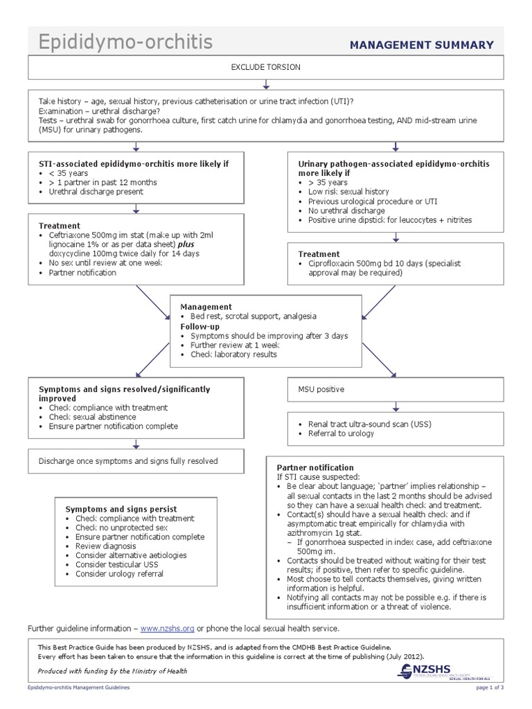 Epididymo-orchitis Management Guidelines | PDF | Sexually Transmitted ...