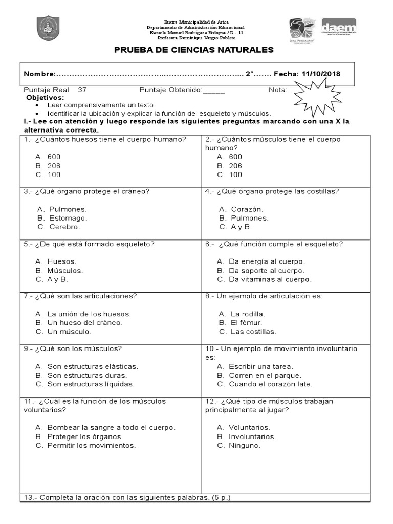 Prueba de Ciencias Naturales: Sistema Muscular y Esquelético | PDF ...