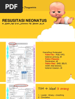 Alur Resusitasi Neonatus IDAI 2022 60x160 | PDF
