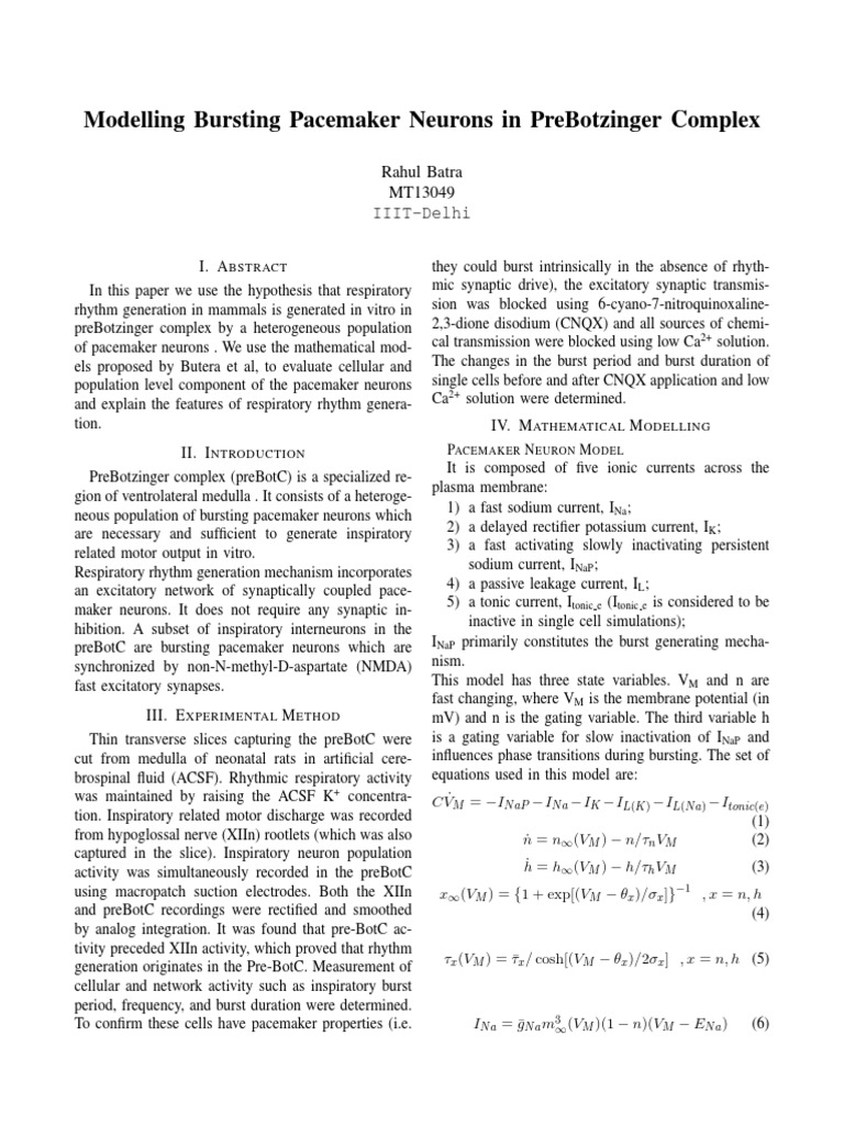 Modelling Bursting Pacemaker Neurons | PDF | Neuroscience | Nervous System