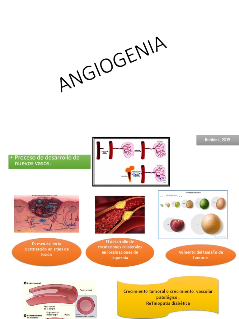 ANGIOGENIA | PDF | Cicatrización de la herida | Factor de crecimiento ...