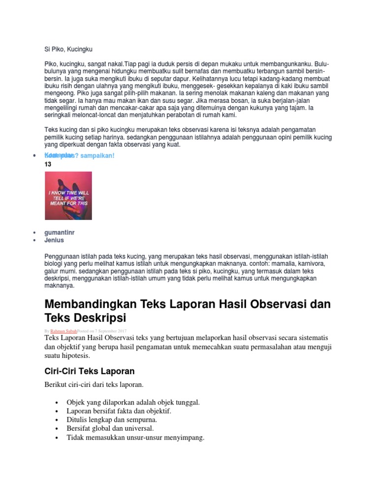 Si Piko Kucingku | PDF