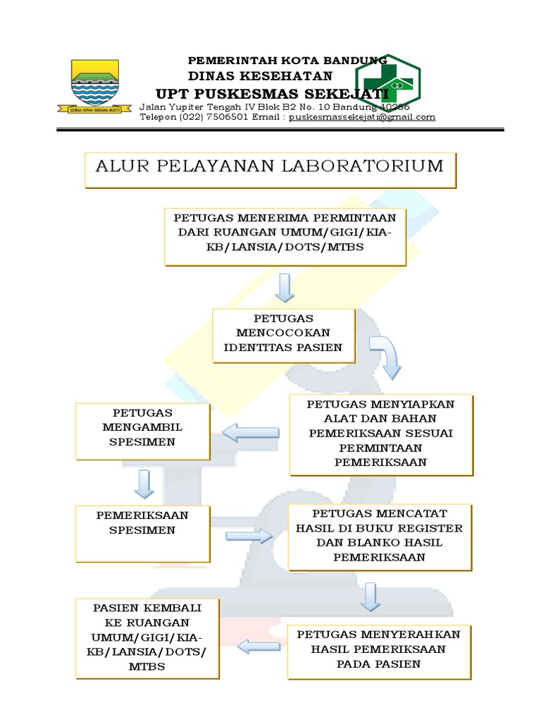 Alur Pelayanan Lab | PDF