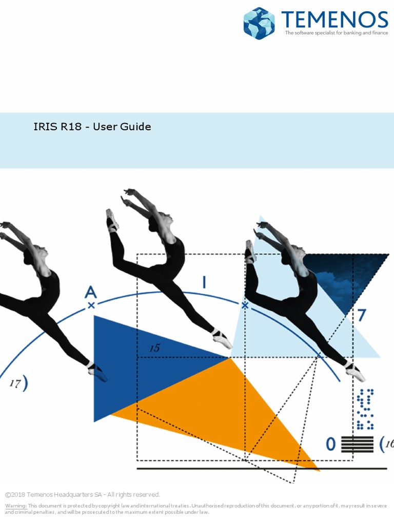 IRIS R18 User Guide PDF | Download Free PDF | Application Server ...