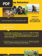 White Paper SHL Universal Competency Framework PDF | PDF | Competence ...