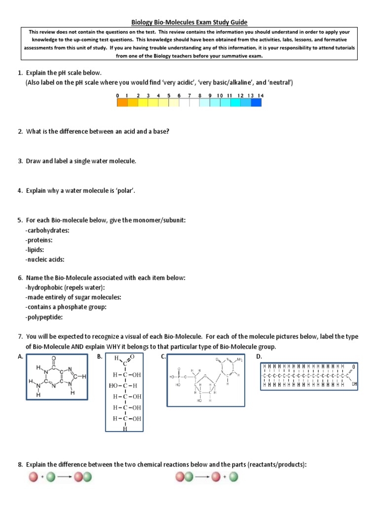 1415 BioMolecules Study Guide | PDF | Biomolecules | Proteins