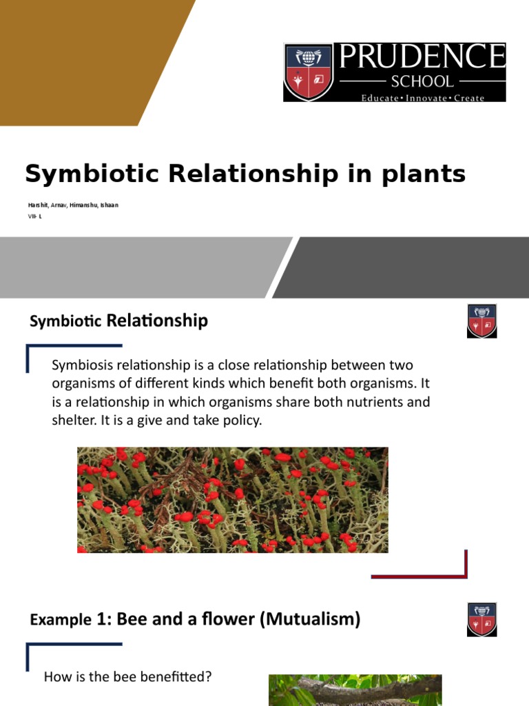 Understanding Plant Symbiotic Relationships | PDF
