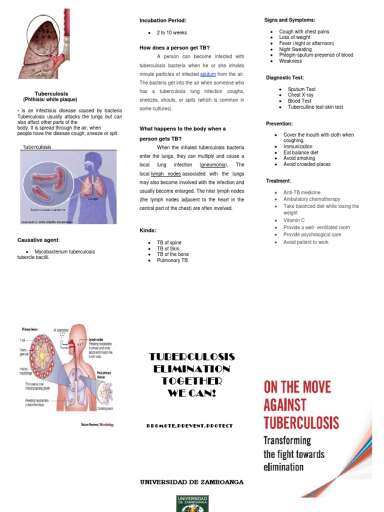 Incubation Period:: Signs and Symptoms | PDF | Tuberculosis | Infection