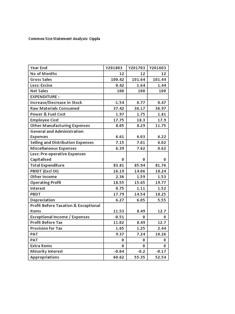 Common Size Statement Analysis - Finale | PDF | Expense | Revenue