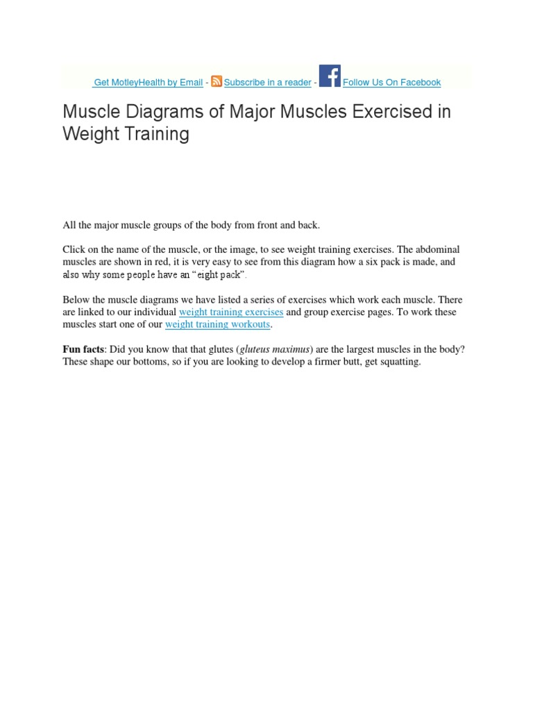 Muscle Diagrams of Major Muscles Exercised in Weight Training | PDF ...