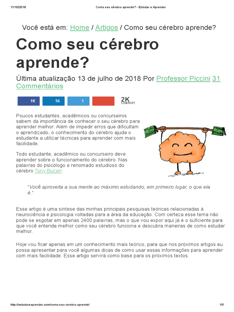 Como Seu Cérebro Aprende Estudar E Aprender Pdf Telencéfalo