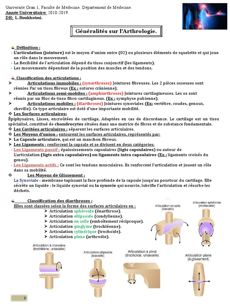 Classification des articulations humaines | PDF | Articulation ...