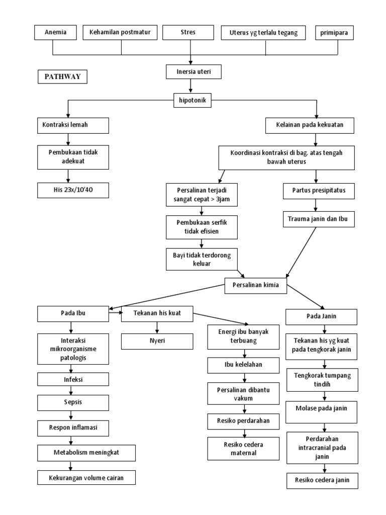 Pathway Inersia Uteri | PDF