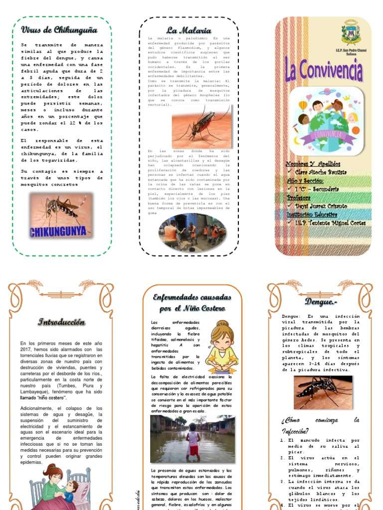 triptico deforestación | PDF | Malaria | Medicina CLINICA